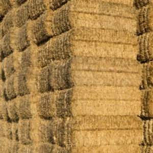 Different types of forage - Grass, Hay, Silage, Lucerene, ... | Cavalor