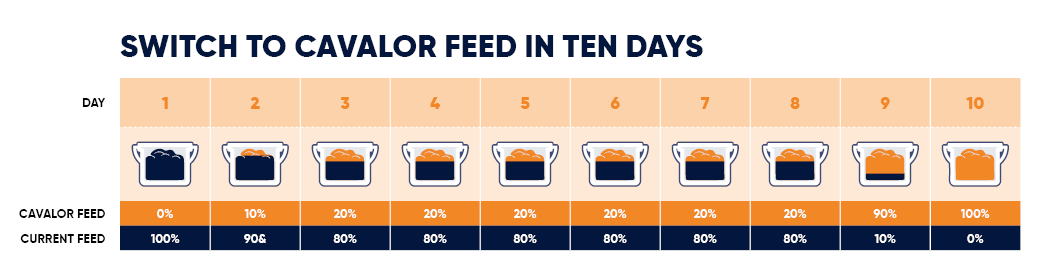 Cavalor articles - Read more about nutrition and health